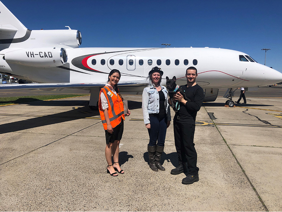 Pet Charter – FalconAir